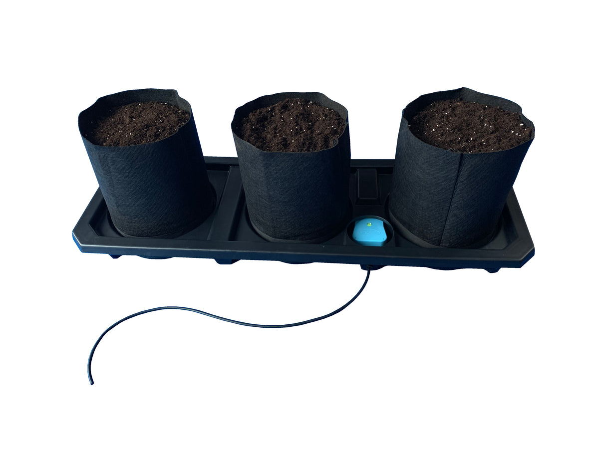 AutoPot Auto3 XL System featuring the AQUAvalve5 — Riviera Horticulture