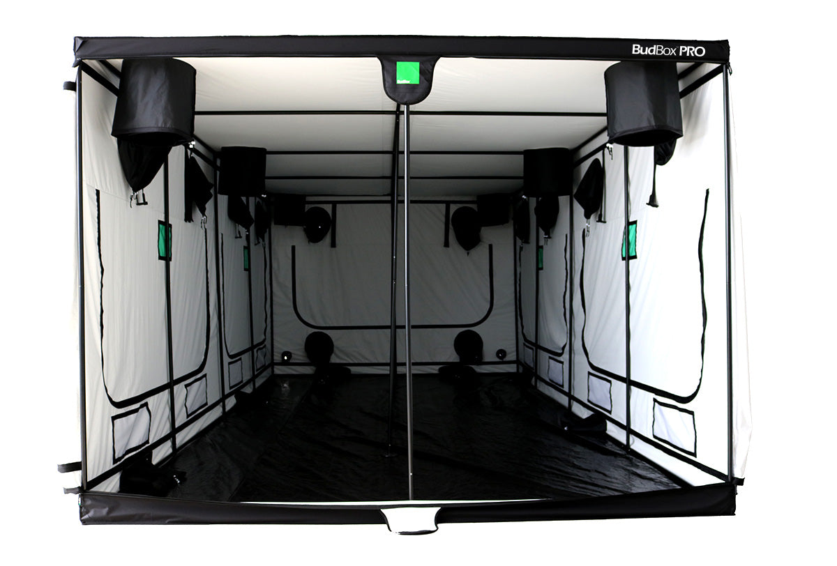 BudBox PRO 600 x 300 x 220cm — Riviera Horticulture